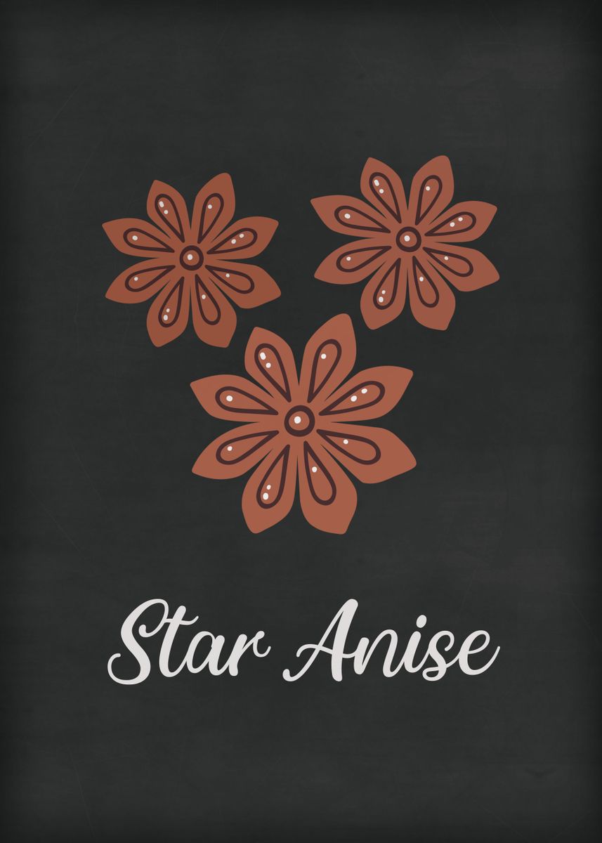 'Star Anise Art' Poster by XandYart | Displate