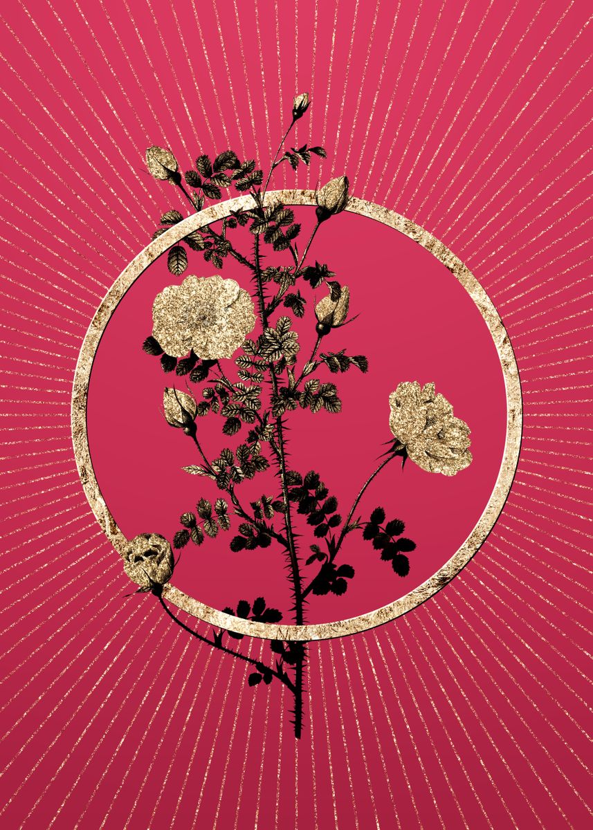 'Pink Scotch Briar Rose' Poster, picture, metal print, paint by Holy ...