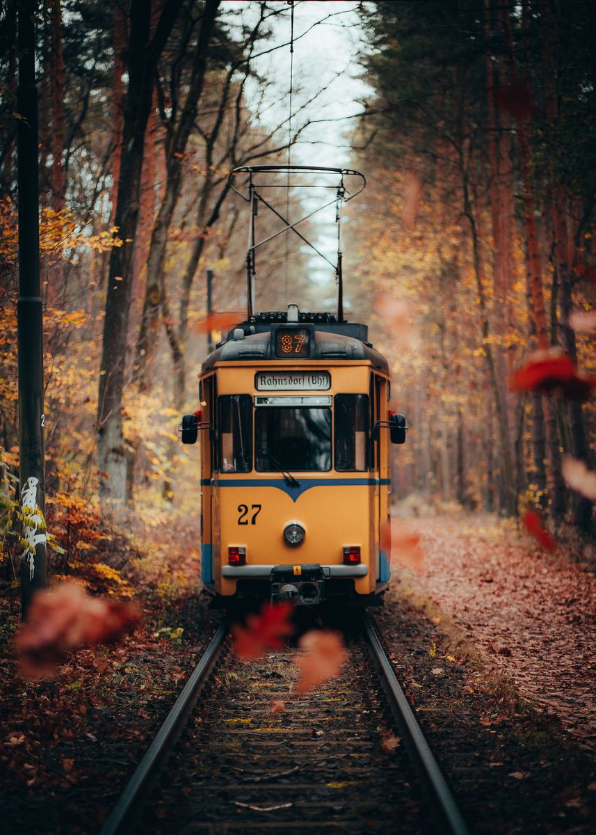 'Forest train' Poster by Stephen Bredenkamp | Displate