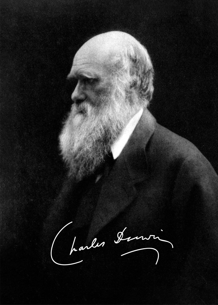 'Charles Darwin ' Poster, picture, metal print, paint by anamaria tudor ...