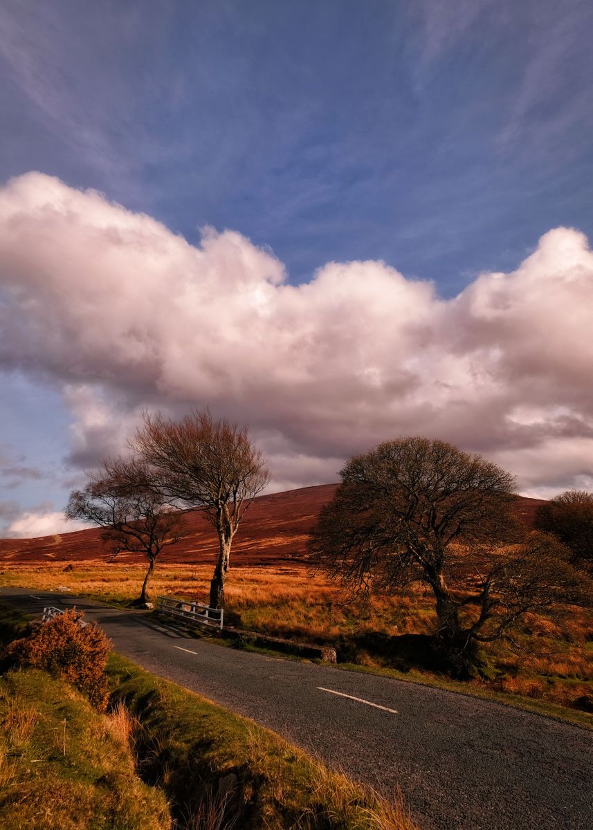 'Scenic road in Wicklow' Poster, picture, metal print, paint by ...