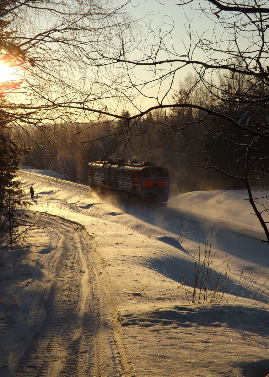 'Winter Train' Poster by Premier Photography | Displate