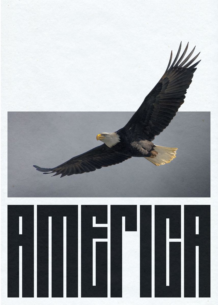 'USA Bald Eagle' Poster by Visitify | Displate