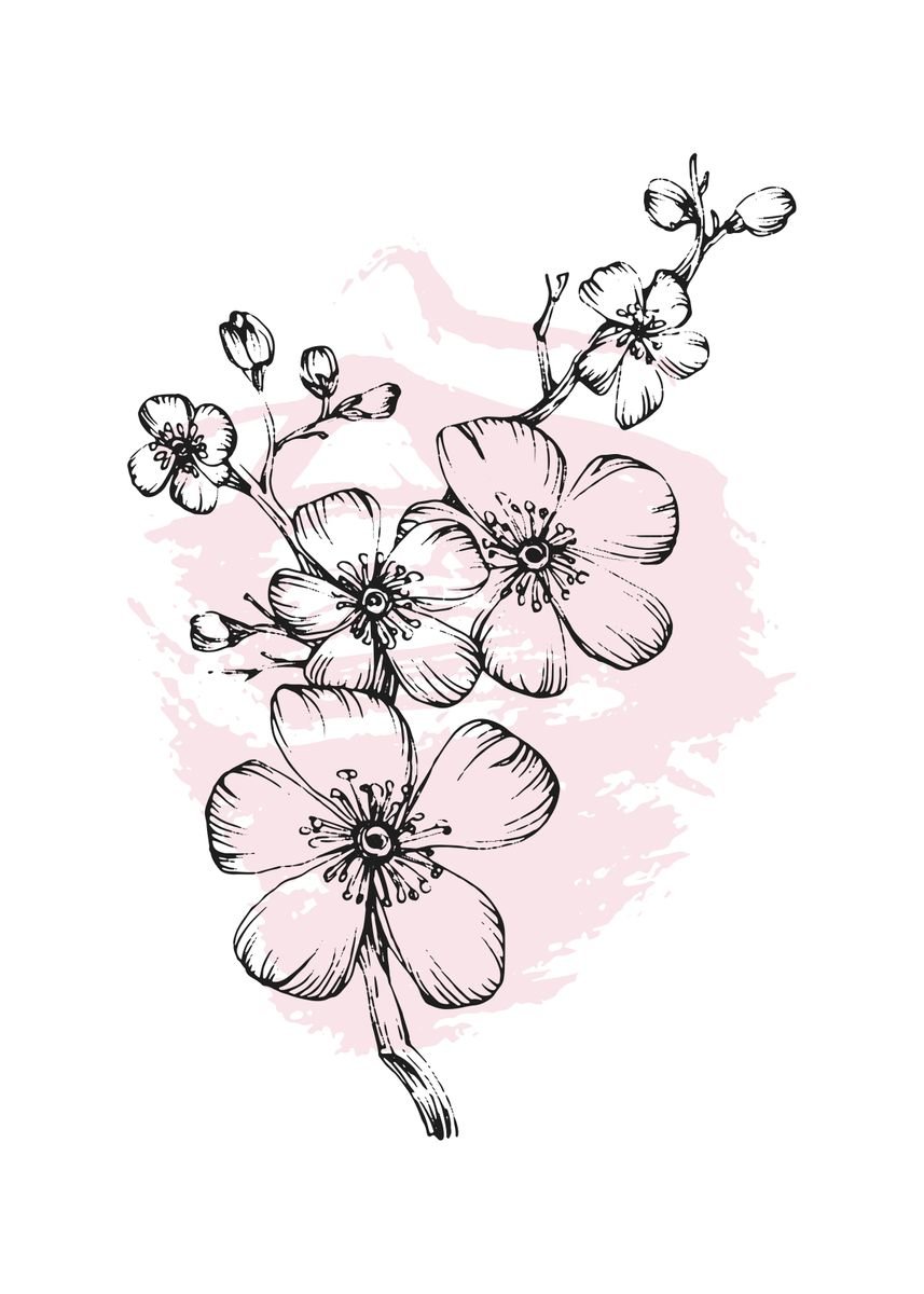 'Sakura Botanical ' Poster, picture, metal print, paint by Samira ...