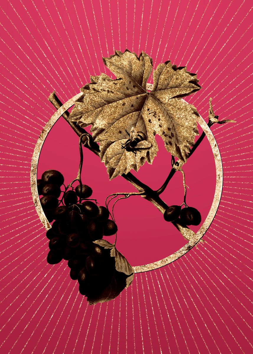 'Viva Magenta Barbera Grape' Poster, picture, metal print, paint by ...