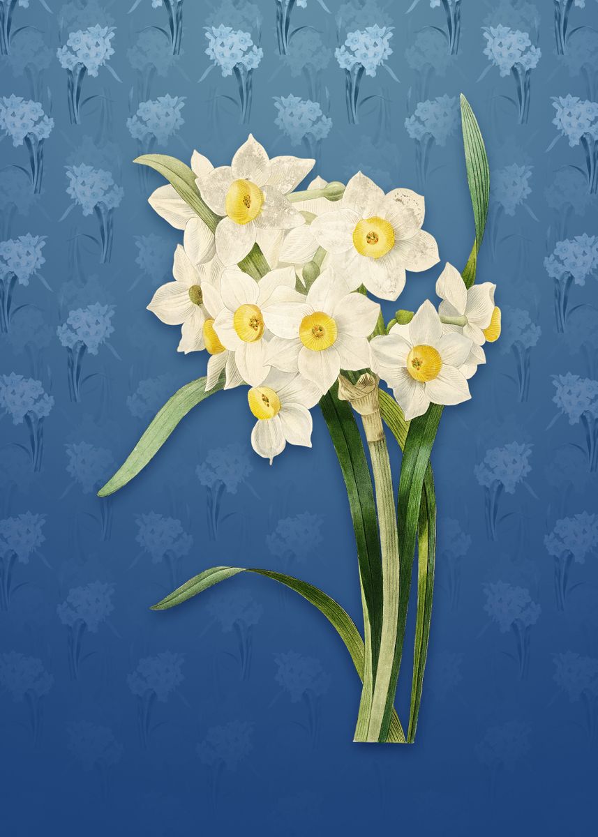 'Bunch Flowered Daffodil' Poster by Holy Rock Design | Displate