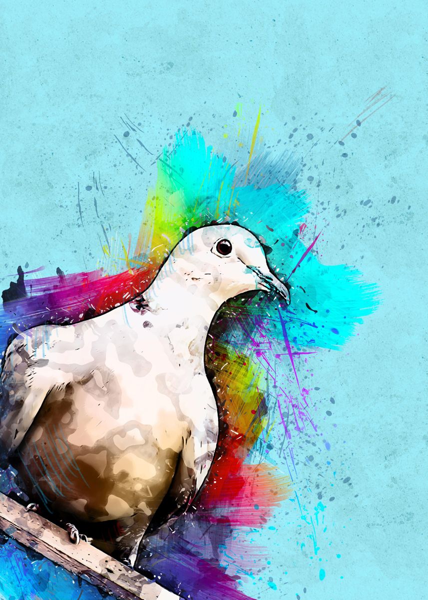 'Dove 244' Poster, picture, metal print, paint by TaTu Art | Displate