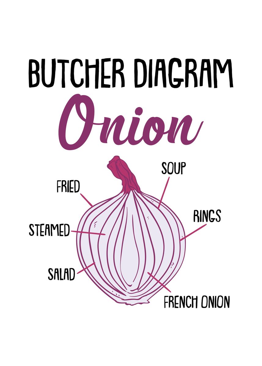 'Onion Anatomy' Poster, picture, metal print, paint by Shiva121 | Displate