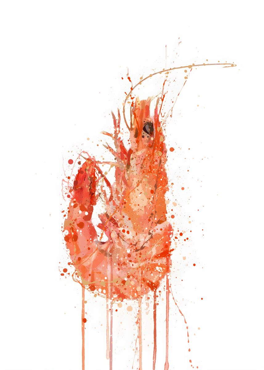 'Prawn' Poster, picture, metal print, paint by Izu | Displate