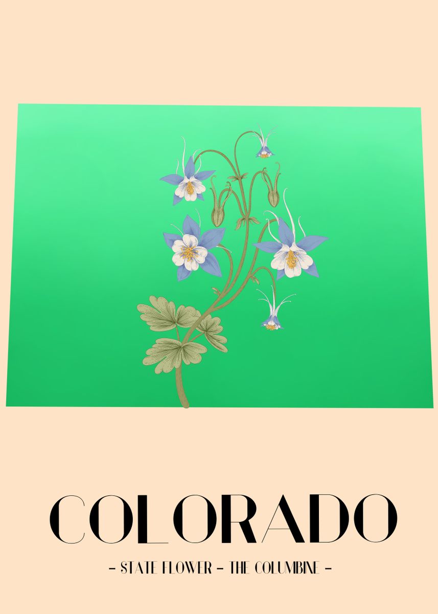 'Colorado and The Columbine' Poster by Jordan | Displate