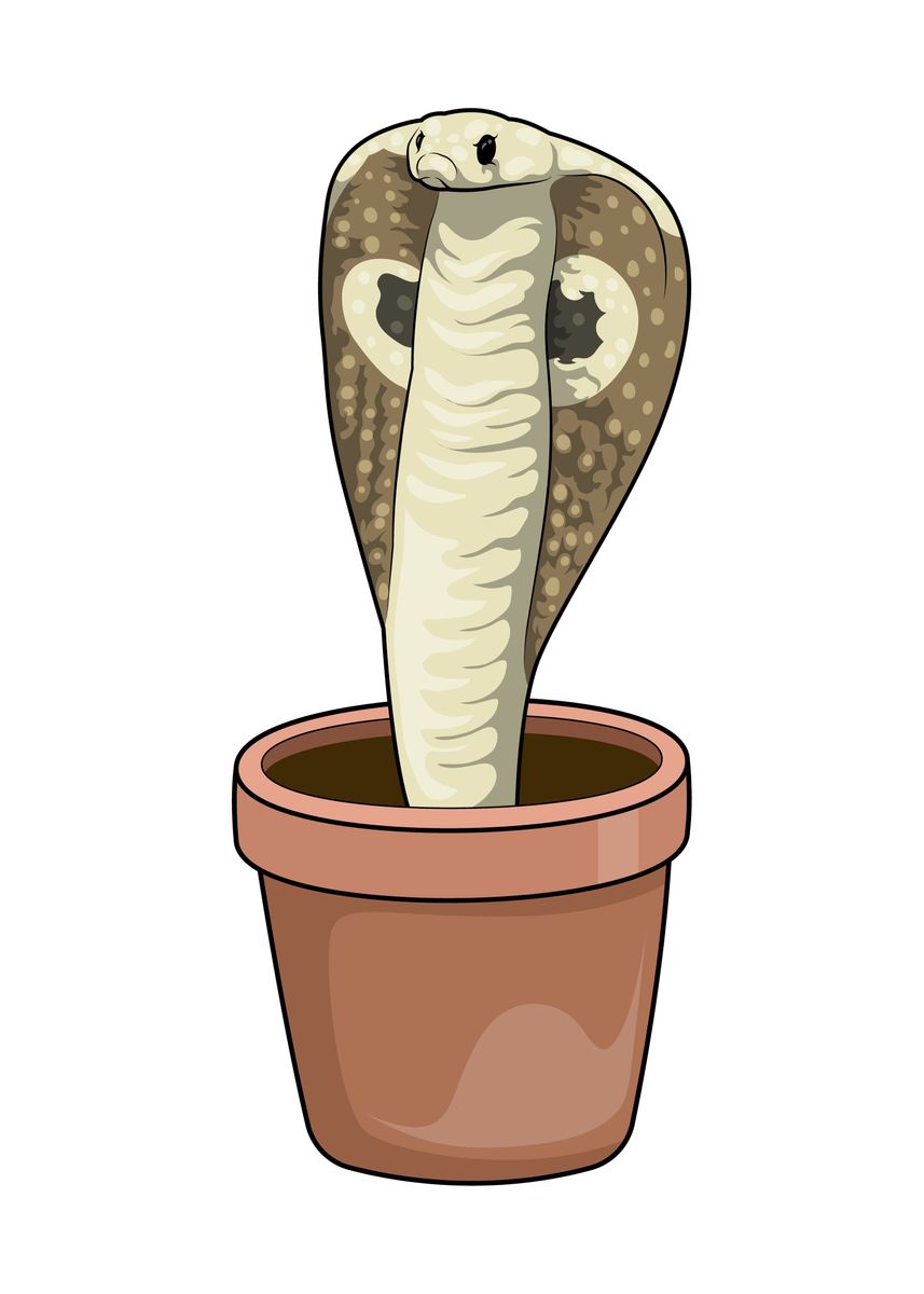 'Snake Plant pot' Poster, picture, metal print, paint by Markus ...