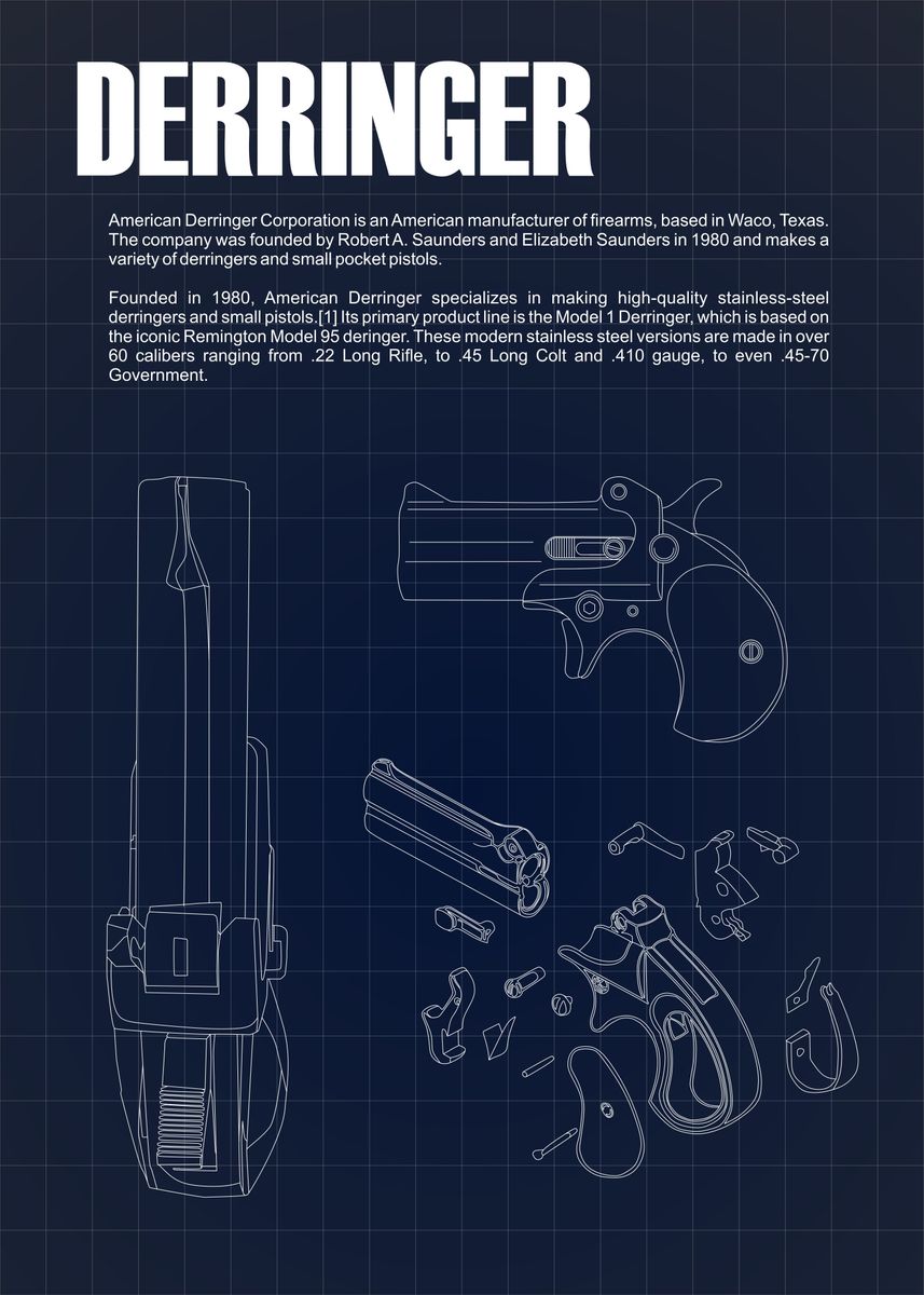 'Armerican Derringer' Poster, picture, metal print, paint by Alex Bayu ...