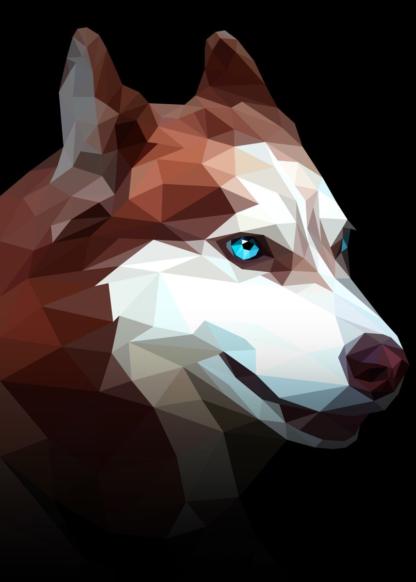 'Husky' Poster, picture, metal print, paint by dung nguyen | Displate