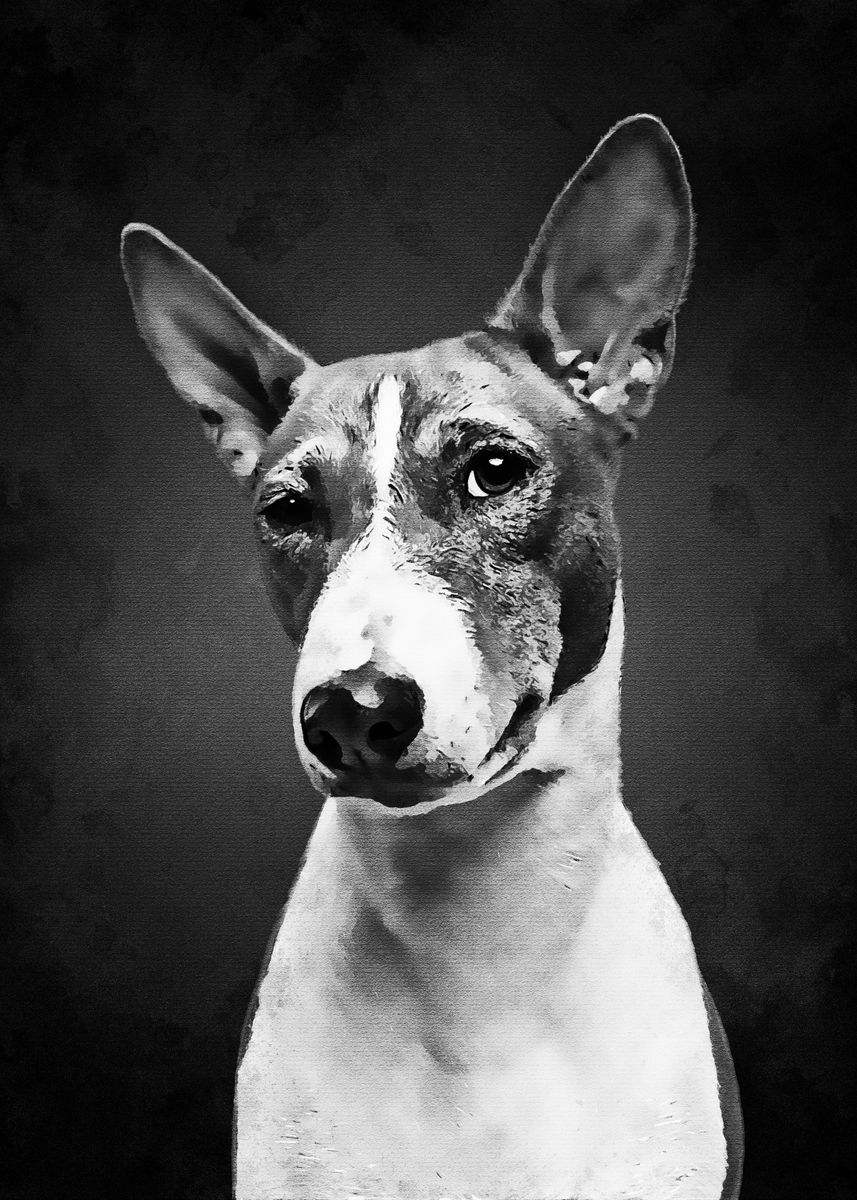 'Black Face Dog' Poster, picture, metal print, paint by Coffee Design ...