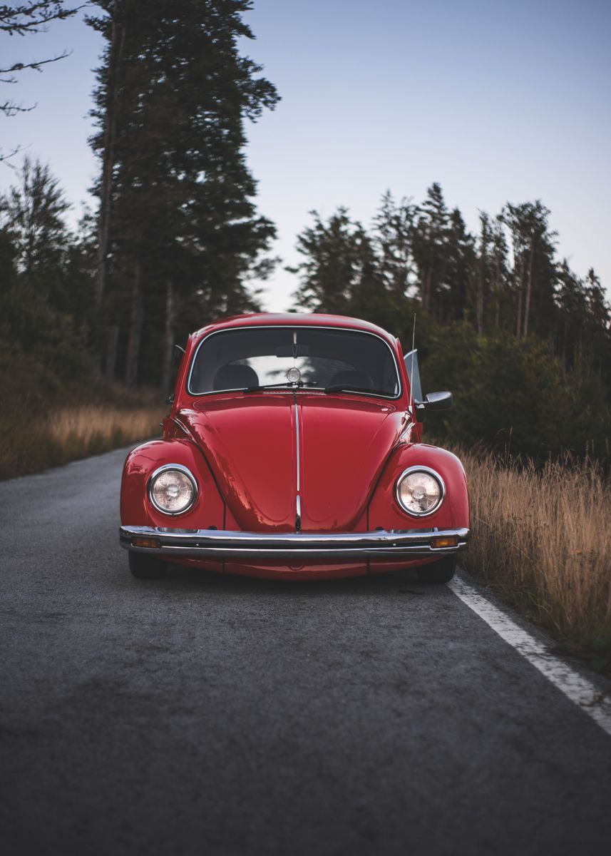 'VW Beetle' Poster, picture, metal print, paint by Christian Marold ...