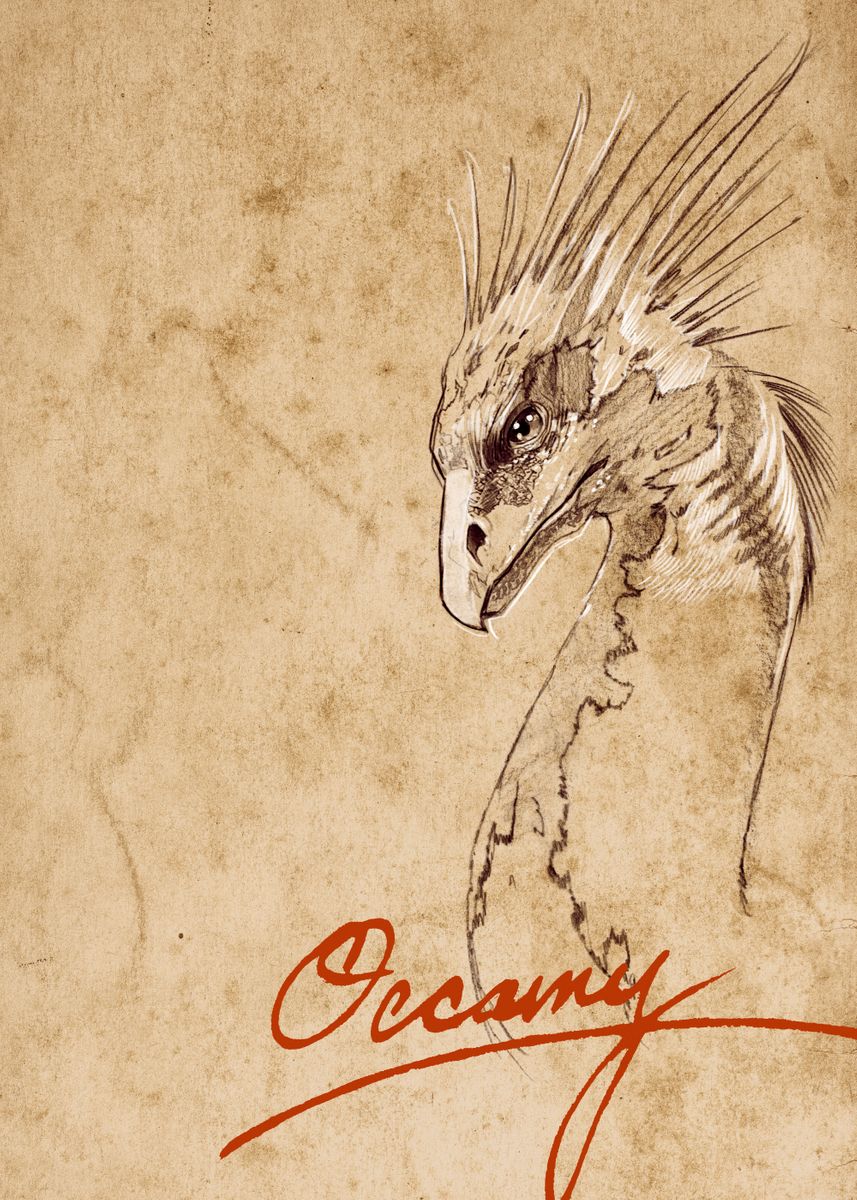 'Occamy Sketch' Poster, picture, metal print, paint by Wizarding World | Displate