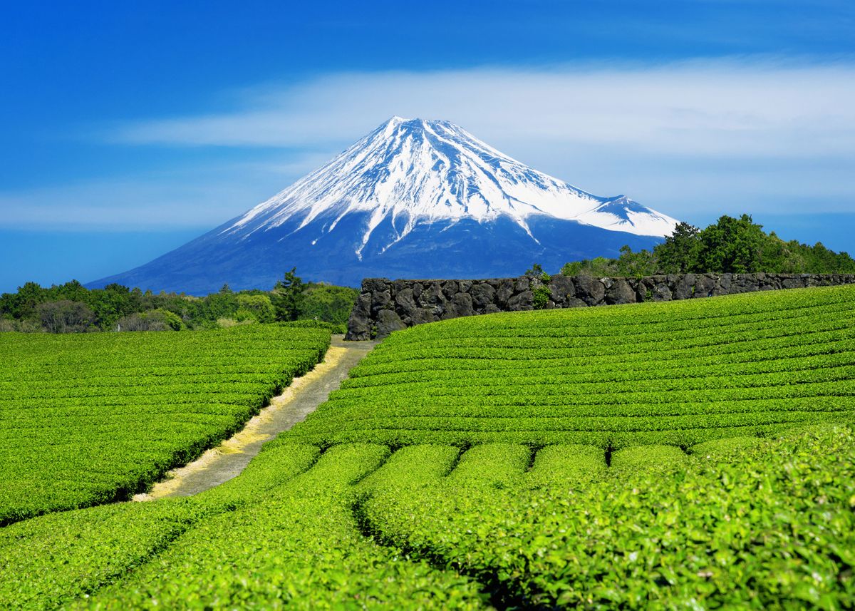 'Landscapes' Poster by Love93 Art104 | Displate