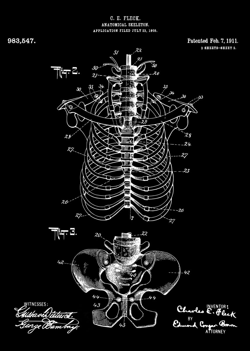 'Skeleton patent ' Poster, picture, metal print, paint by RelDesign ...
