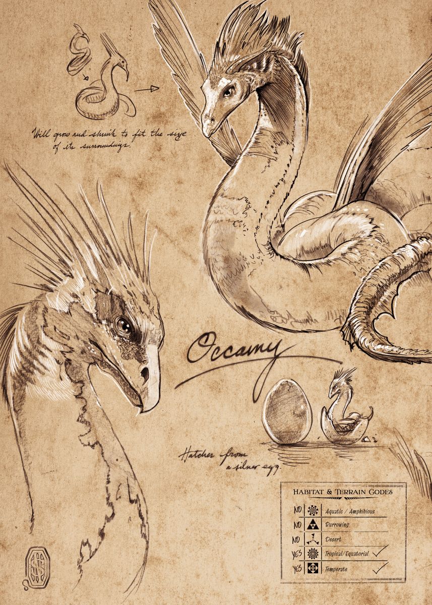 'Occamy Note' Poster, picture, metal print, paint by Wizarding World ...