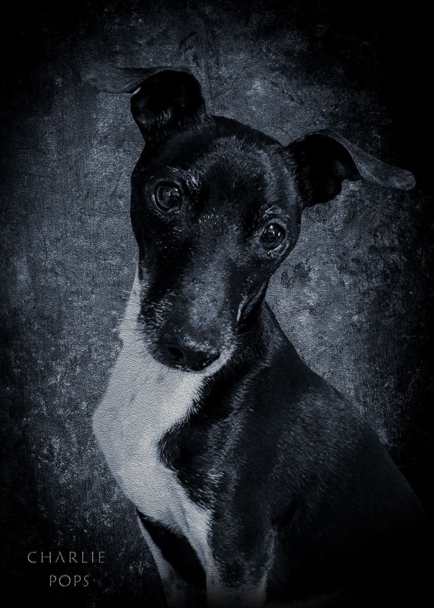 'Charlie pops' Poster by tricky dee | Displate