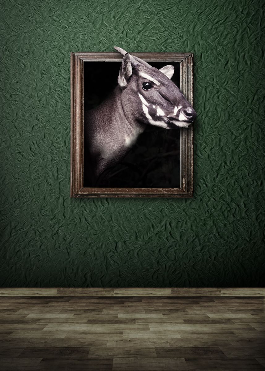 'Saola' Poster, picture, metal print, paint by Ayaz Danish | Displate