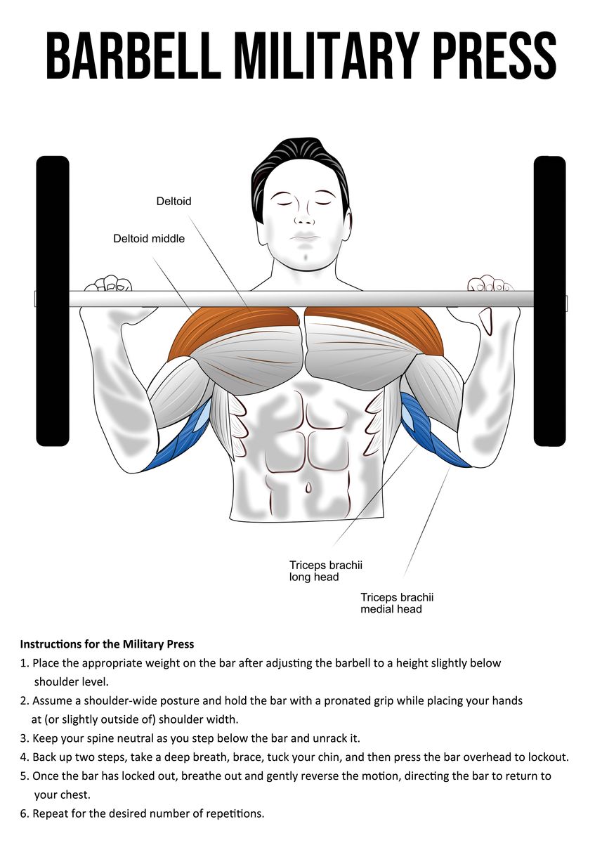 'OH Press Anatomy Diagram' Poster, picture, metal print, paint by CHAN ...