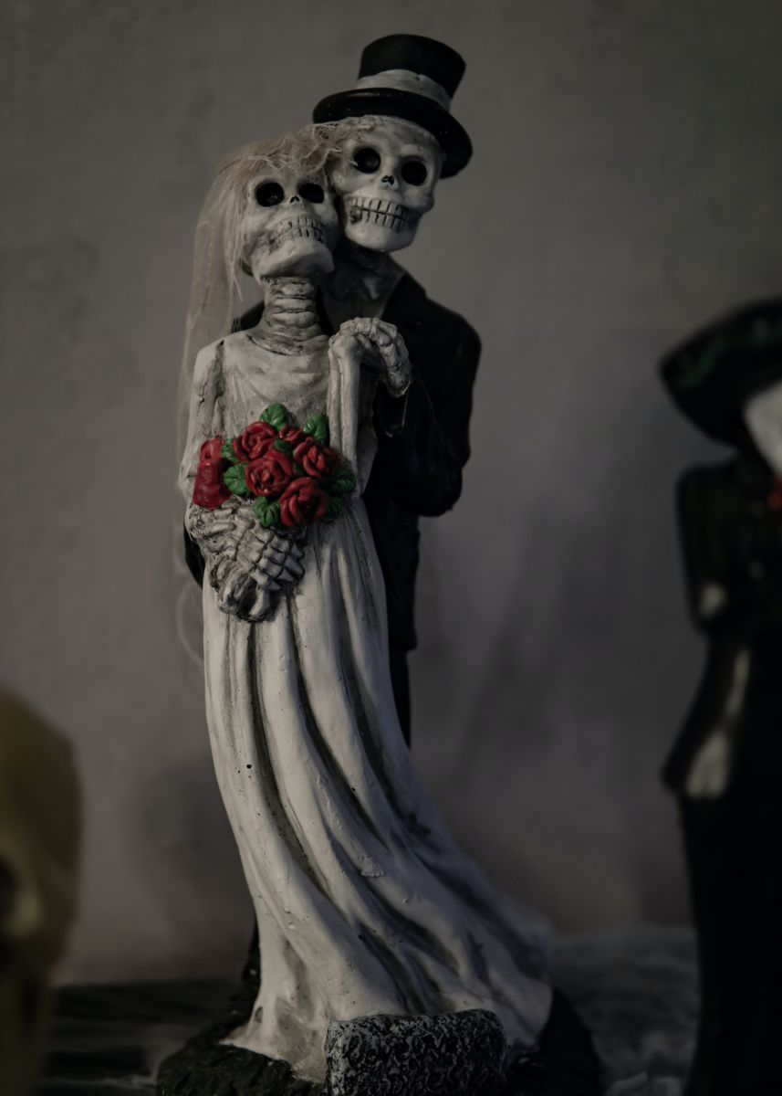 'Fatal Bride and Groom' Poster by Sam Brady | Displate