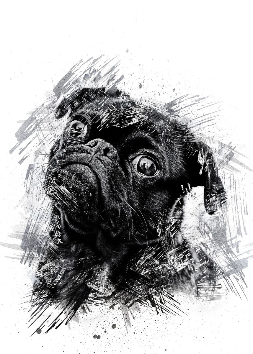 'Animal Black Dog' Poster, picture, metal print, paint by Kardus Studio ...