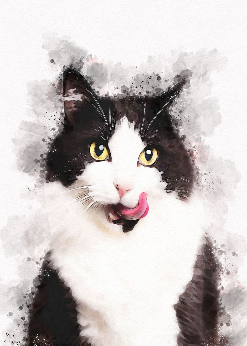 Sassy Cat