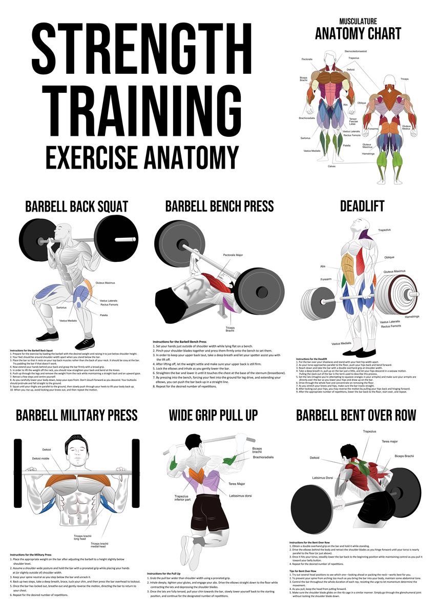 'Exercise Diagrams Charts' Poster, picture, metal print, paint by CHAN ...