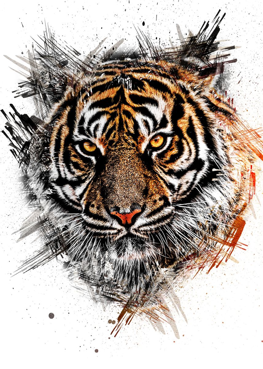 'Animal Tiger' Poster, picture, metal print, paint by Kardus Studio x ...