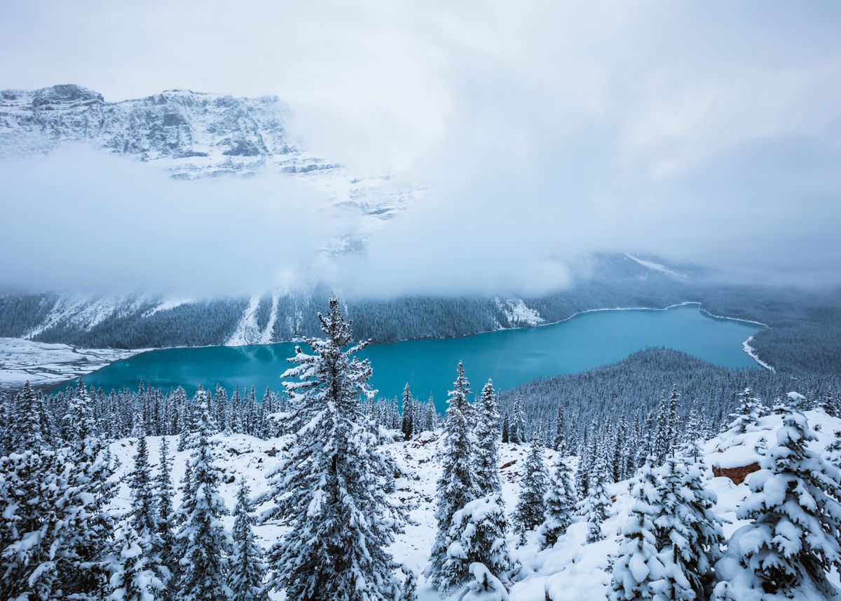 'Peyto lake in winter Banff' Poster by Matteo Colombo | Displate