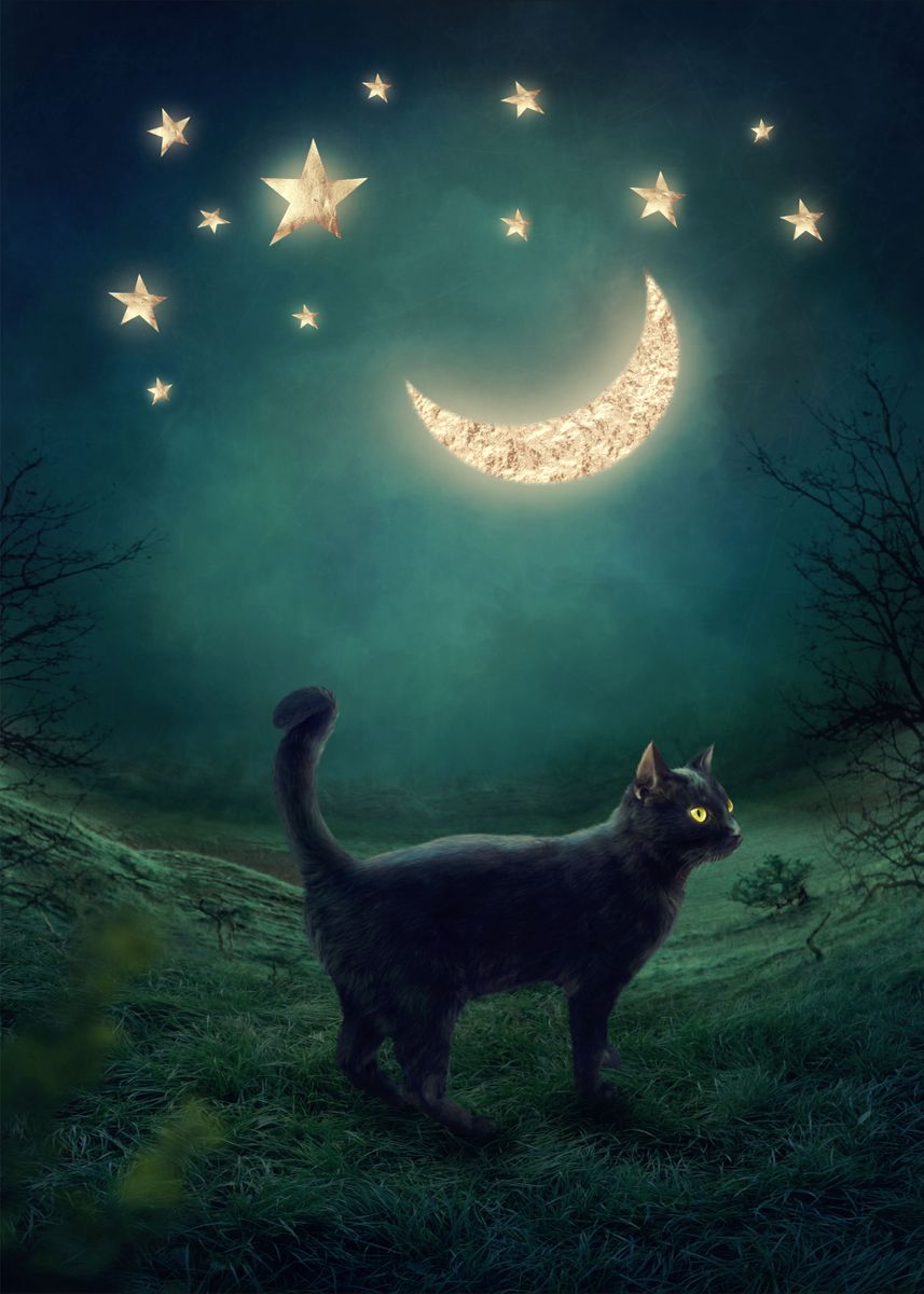 'Cat Moon and Stars' Poster, picture, metal print, paint by Creative YS ...