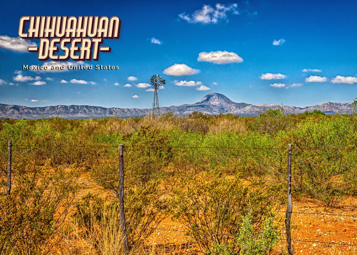 'Chihuahuan Desert' Poster by Gestalt Imagery | Displate
