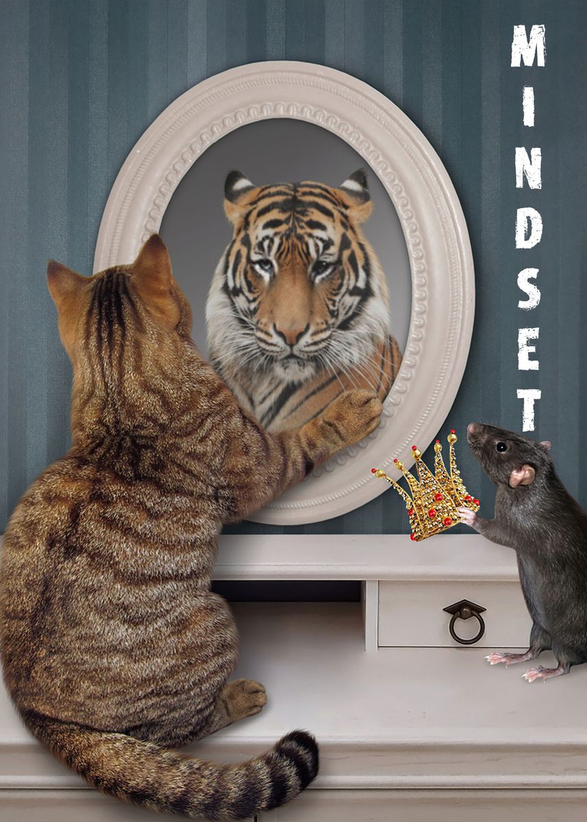 'Mindset is everything ' Poster, picture, metal print, paint by Game On ...