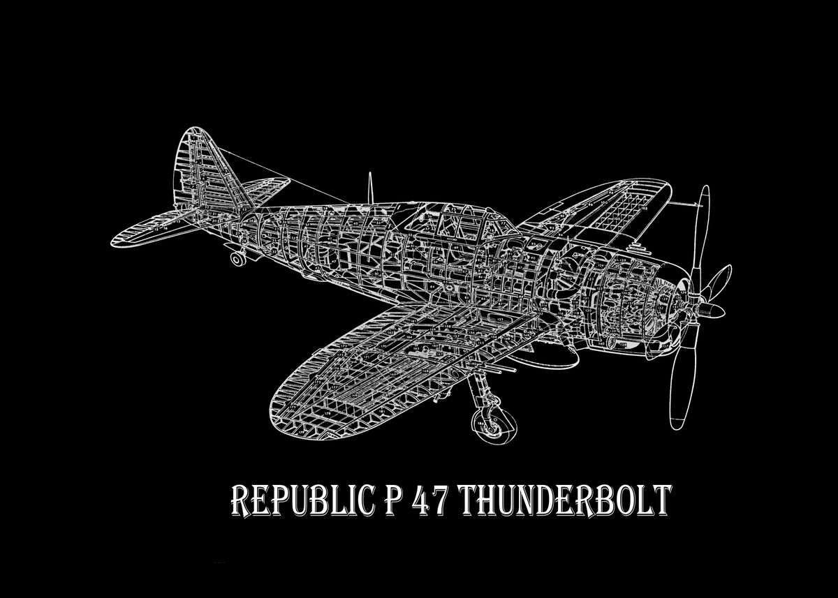 'Republic P 47 Thunderbolt ' Poster by TheGolden Hand | Displate