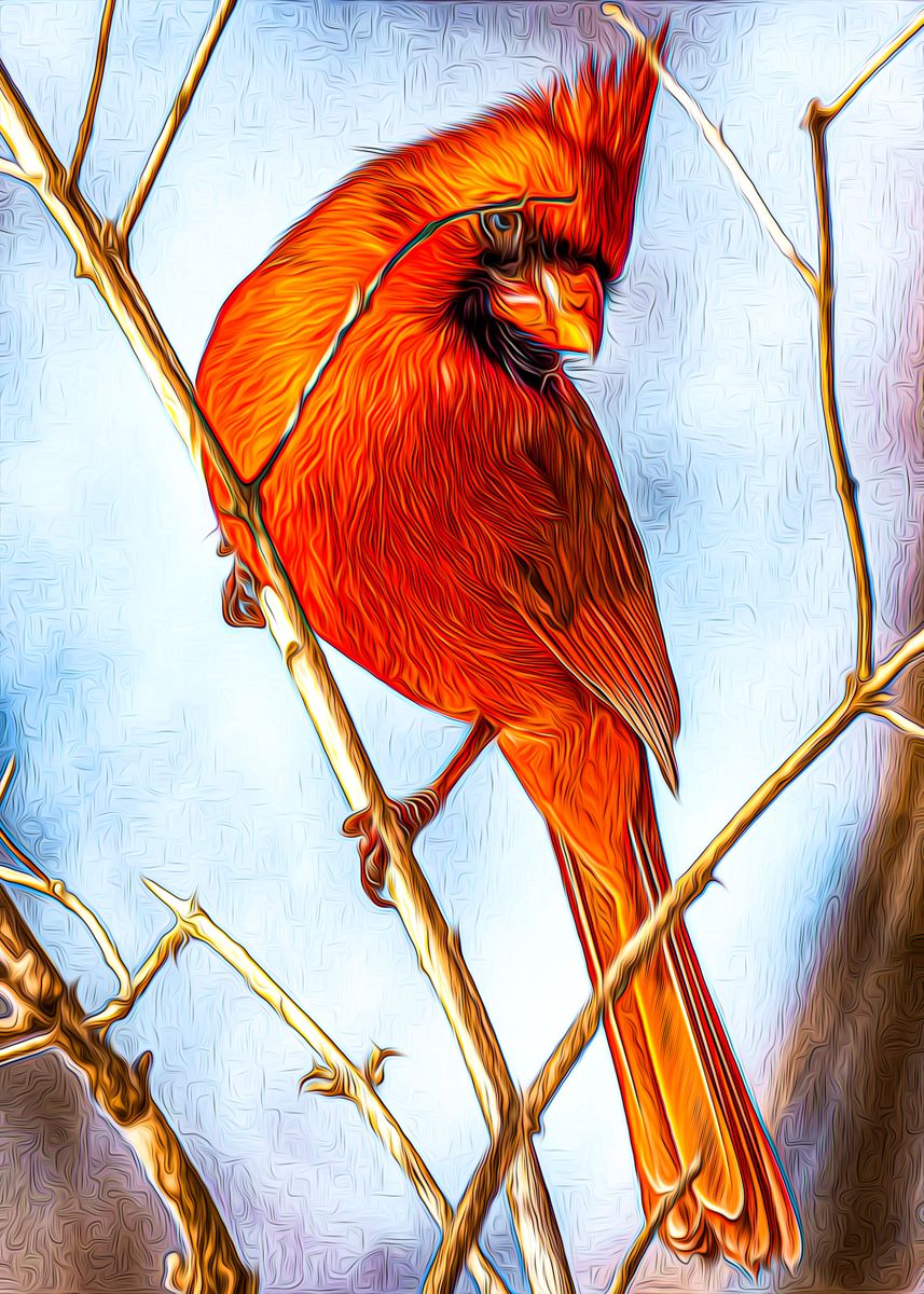 'Cardinal' Poster, picture, metal print, paint by Tiker Arts | Displate