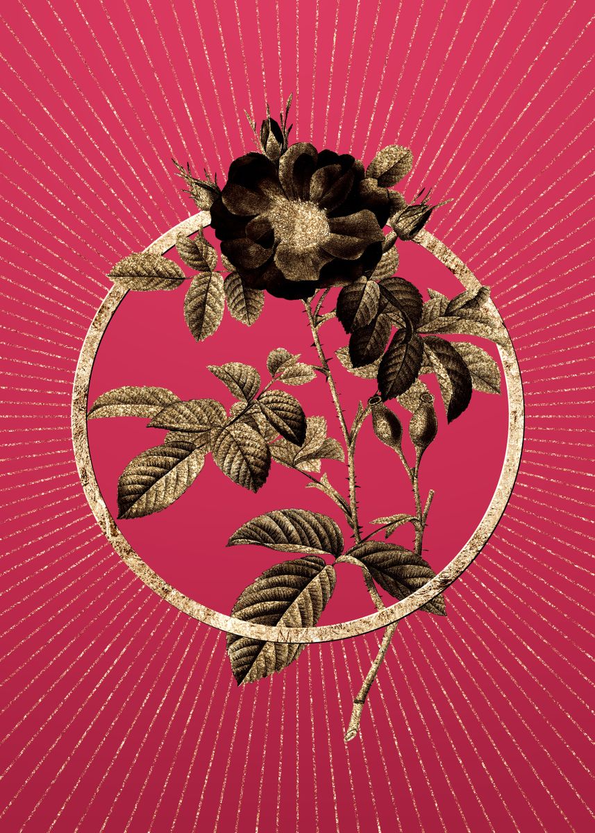'Gold Red Portland Rose' Poster, picture, metal print, paint by Holy ...