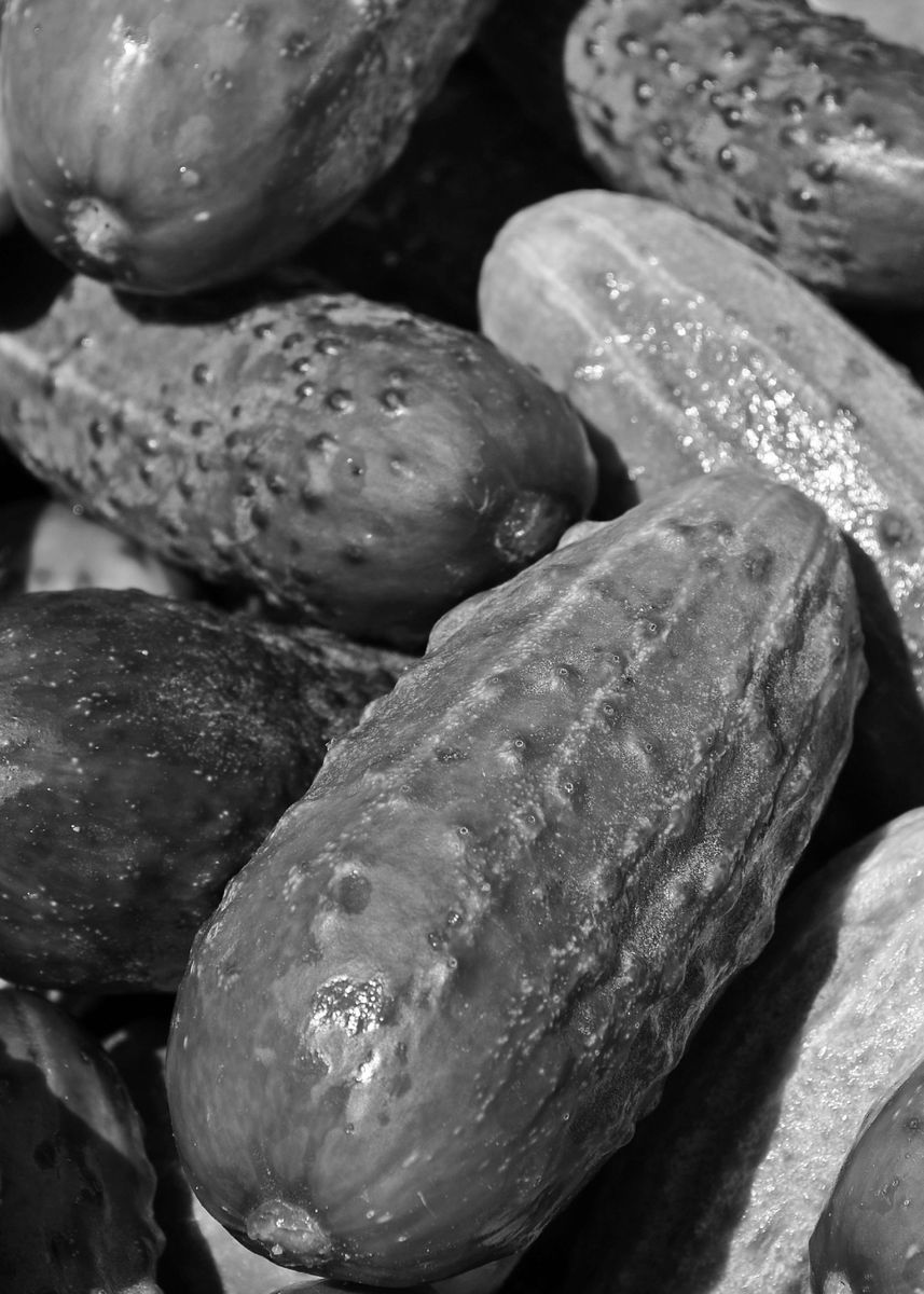 'cucumbers gray' Poster, picture, metal print, paint by The Diamond ...