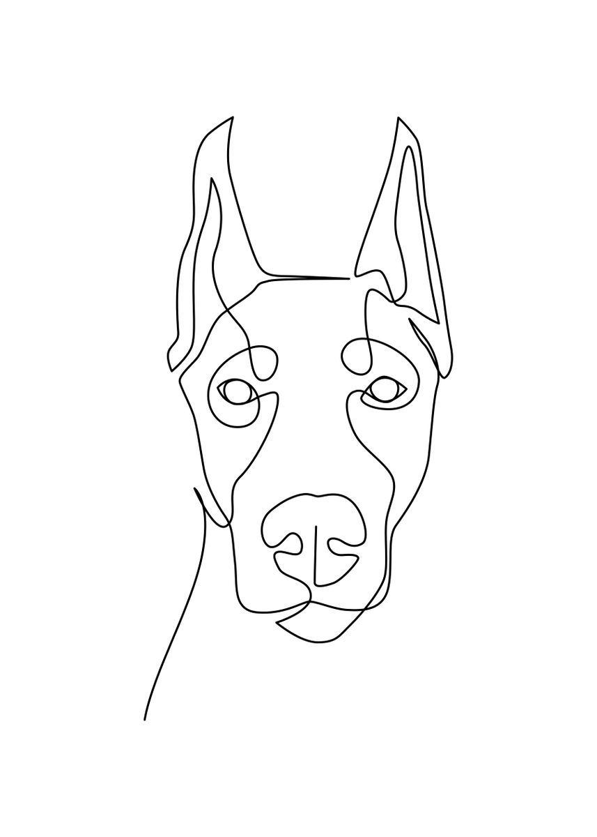Doberman Line Drawing