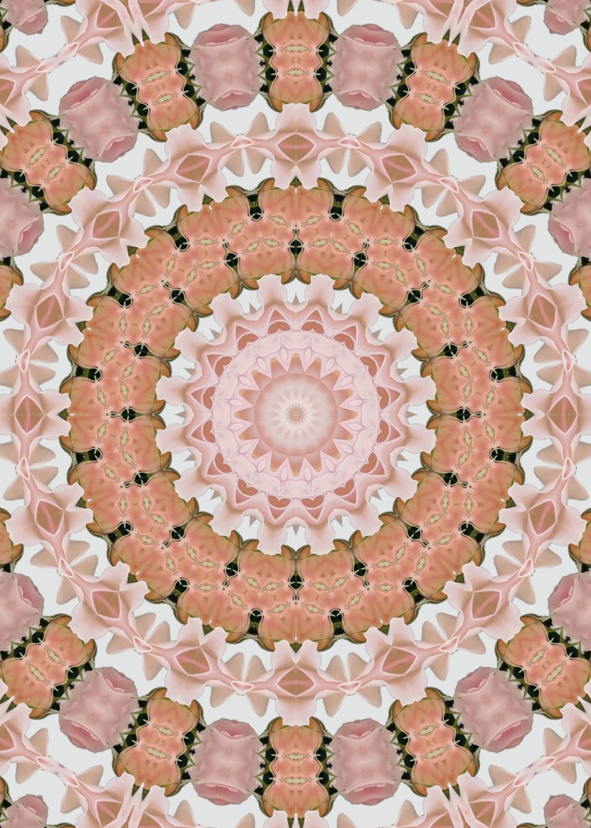 'Retro pink kaleidoscope' Poster by Edy Art Space | Displate