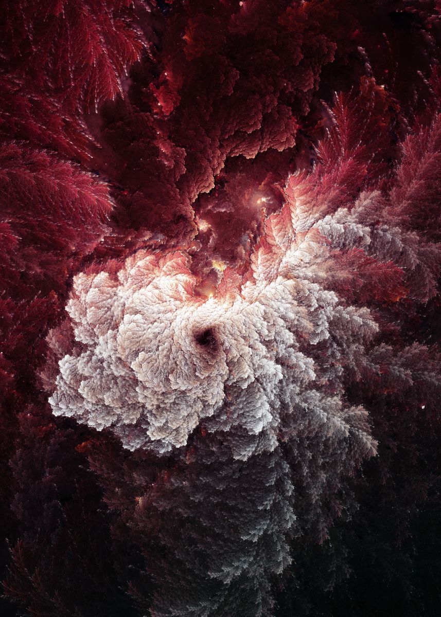 'Acer' Poster by Thomas Raftsjö | Displate