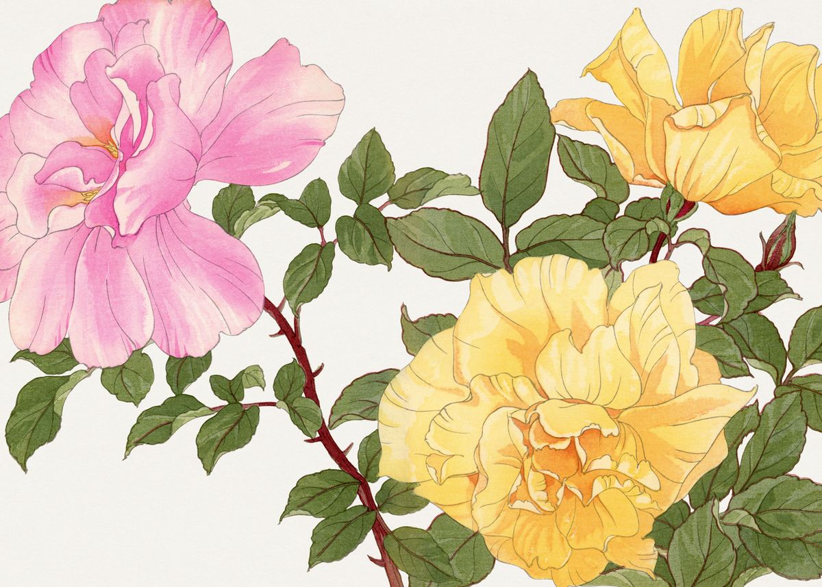 'Rose flower' Poster by Portokalis | Displate