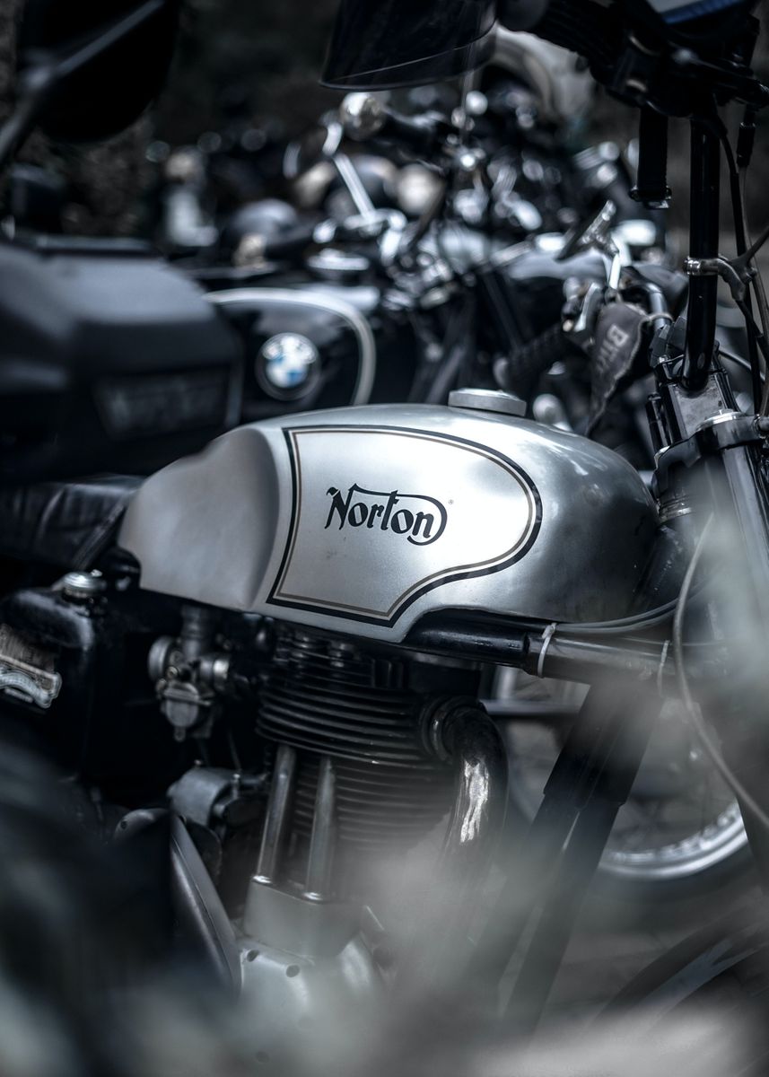 'Norton' Poster, picture, metal print, paint by Sam Gong | Displate