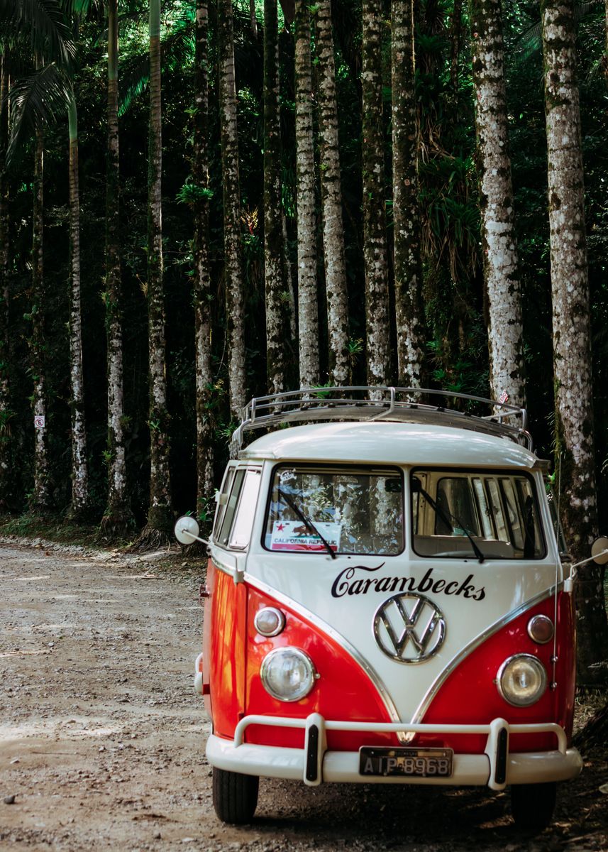 'classic van' Poster, picture, metal print, paint by Helinton ...