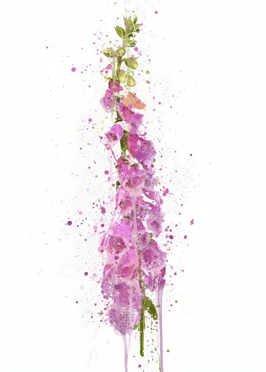 'Botanical Flower Foxglove' Poster, picture, metal print, paint by Izu ...