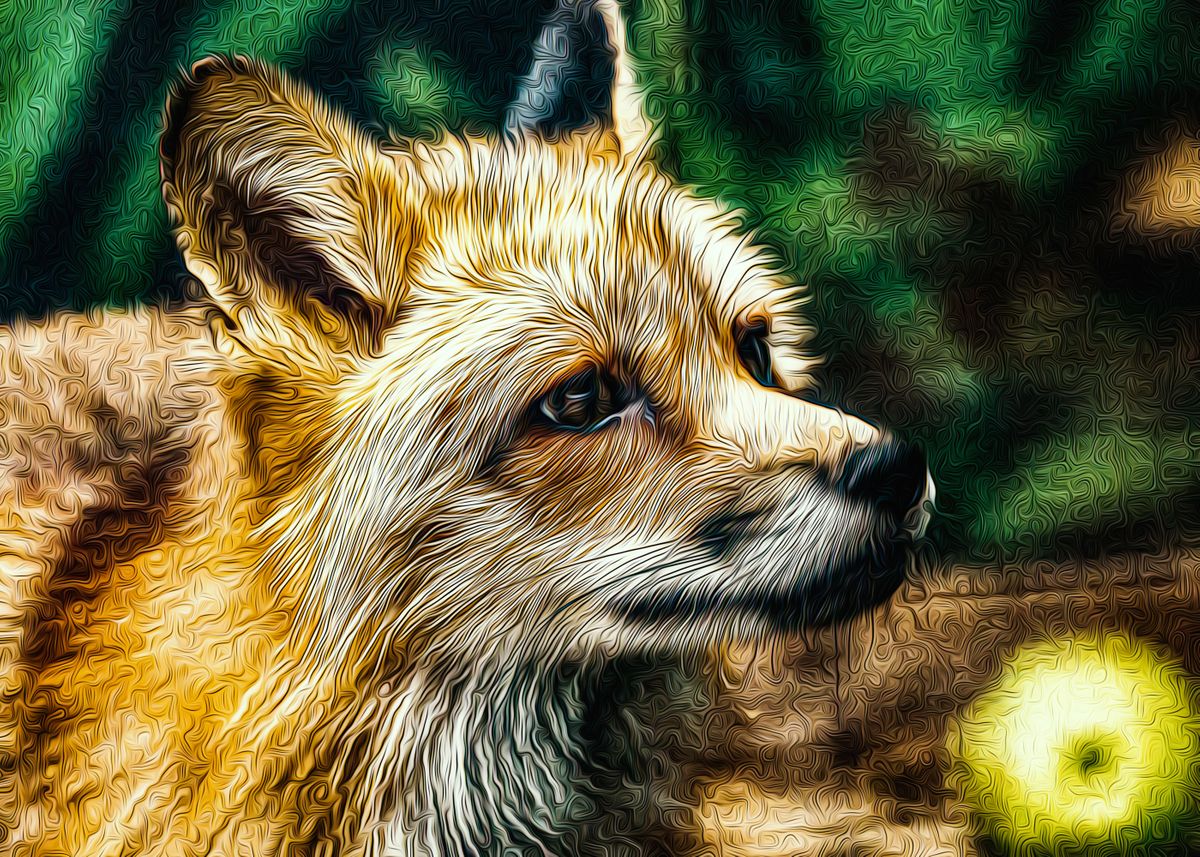 'Fox' Poster by Tiker Arts | Displate