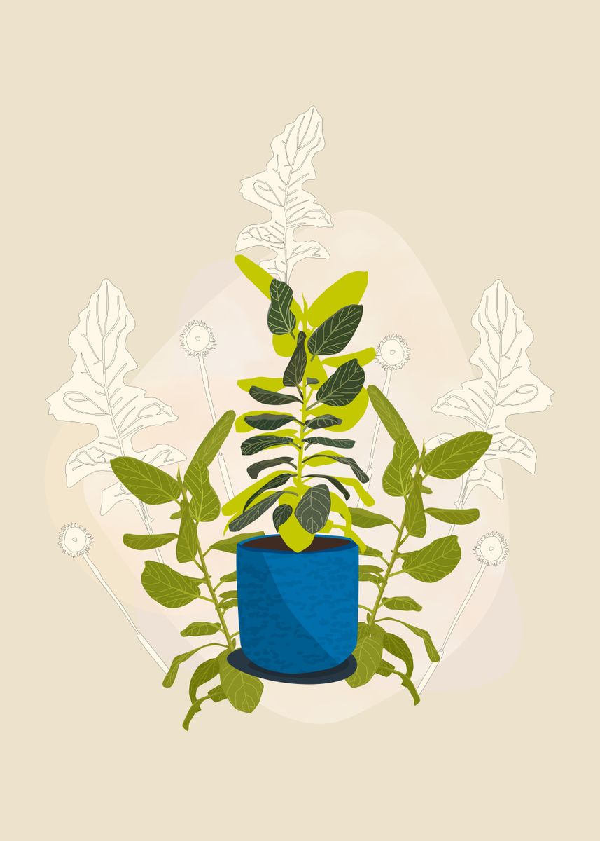 'Ficus Audrey Plant Cream' Poster, picture, metal print, paint by ...
