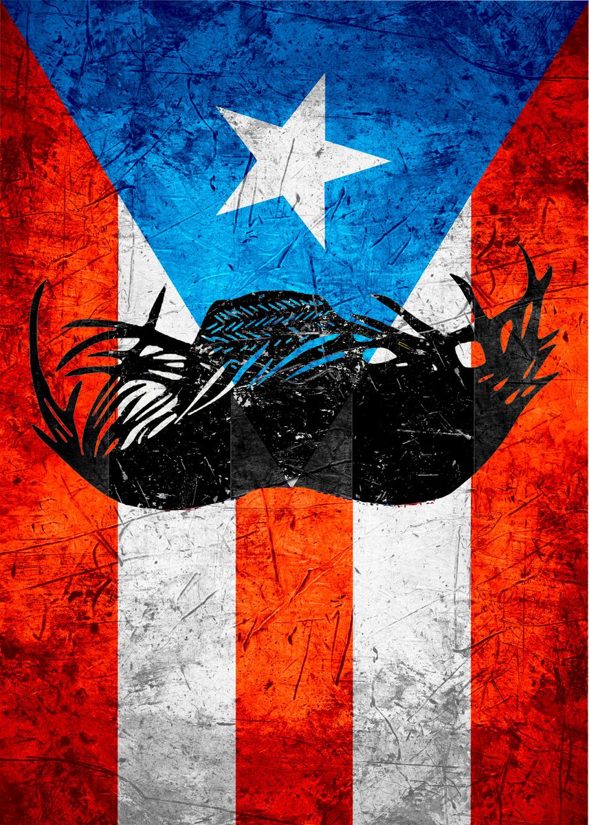 'Puerto rican Pava flag' Poster, picture, metal print, paint by J Erick ...