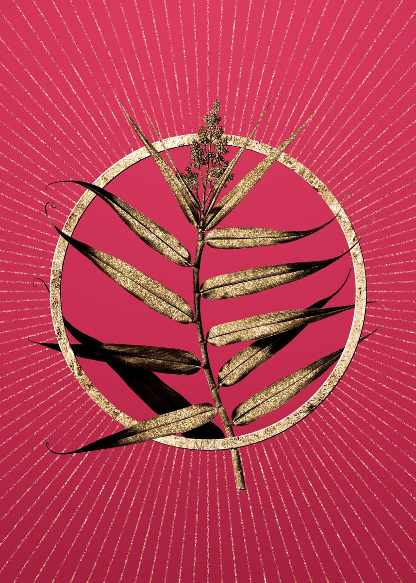 'Bush Cane on Viva Magenta' Poster, picture, metal print, paint by Holy ...